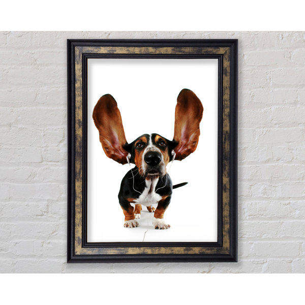 Bright Star Basset Hound Music Single Picture Frame Art Prints Uk